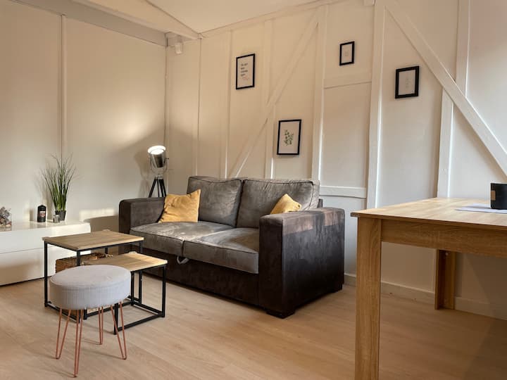 Appart- T1 - 2/4 P. 30mn Disney - Coulommiers