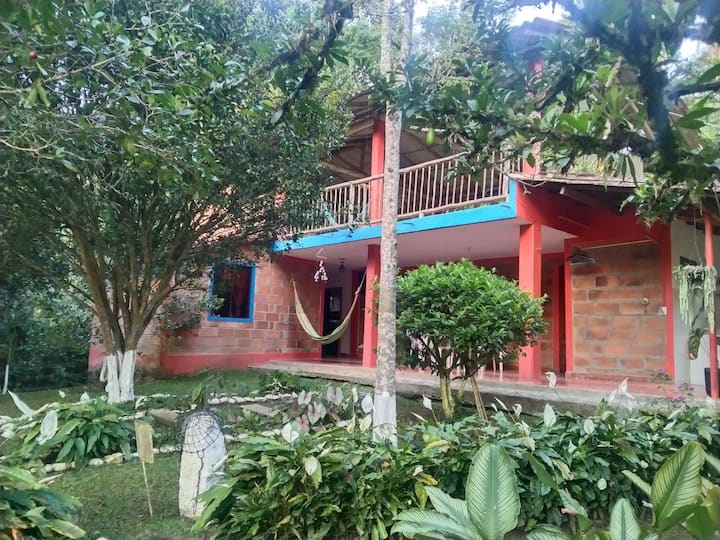 Naturaleza Y Vida - Barbosa