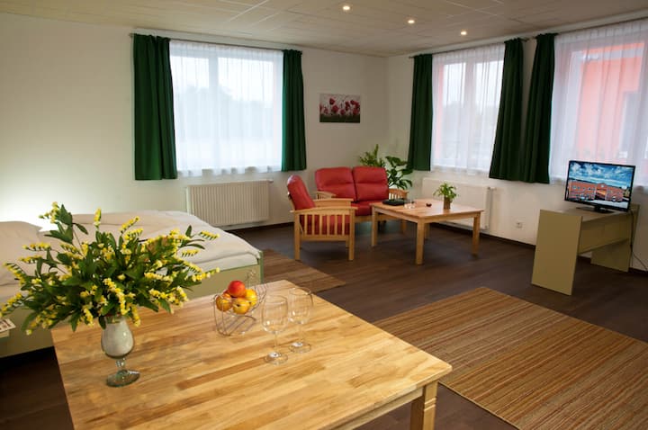 Studio 45m² Wiener Neustadt St15 - Wiener Neustadt