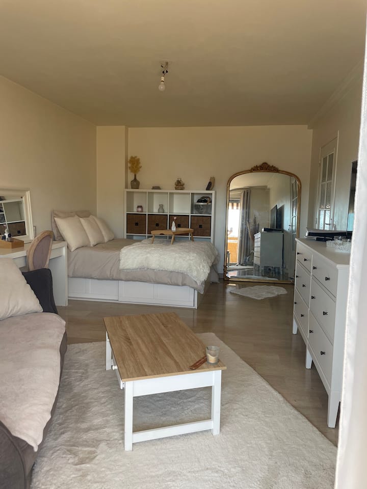 Appartement En Résidence Proche Mer - Nizza