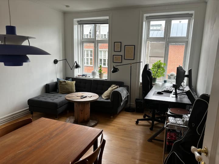 Hyggelig Københavnerlejighed - Copenhaguen