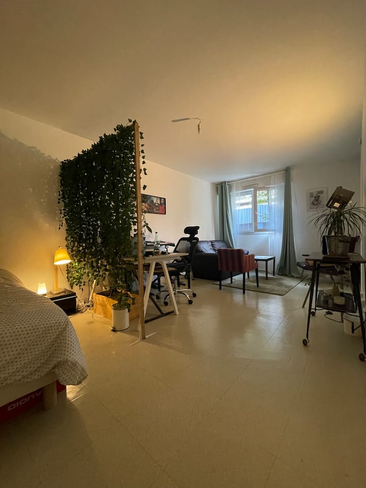 Grand Studio Centre Ville - Paris