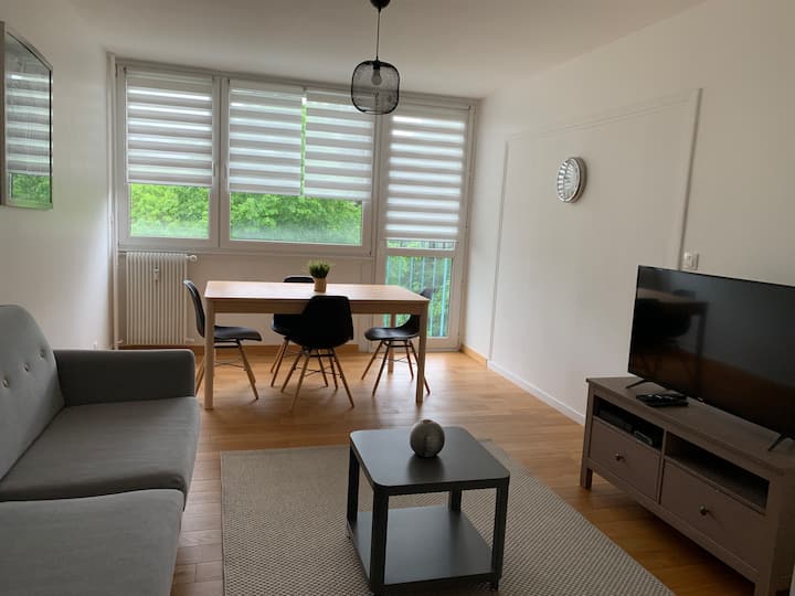 Appartement Lille Secteur Calme - Lille