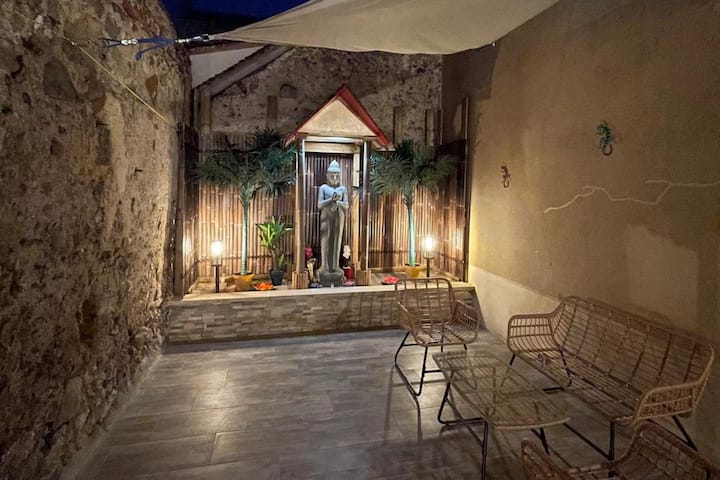 Junglissime • Grand Patio • Centre Ville & Netflix - Sens