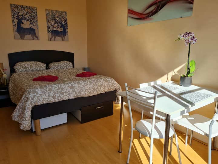 Joli Appartement Meublé - Hôtel Le Continental 305 - Contrexéville