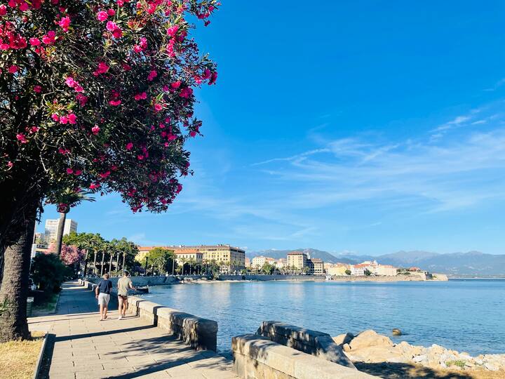 Studio + Terrasse Hyper Centre - Ajaccio
