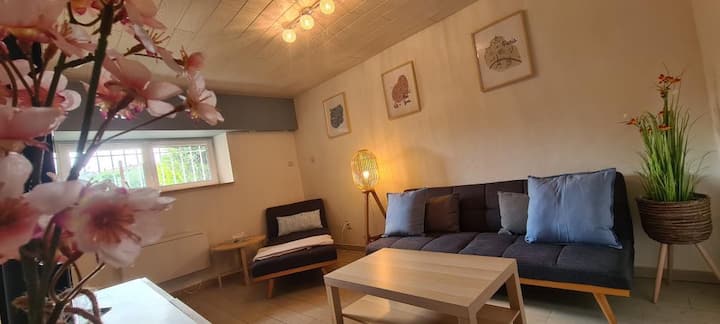 Appartement Cocooning - ibis Styles Carcassonne La Cité