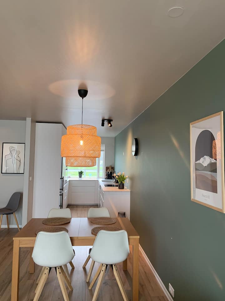 Apartment In Central Reykjavík - Reikiavik