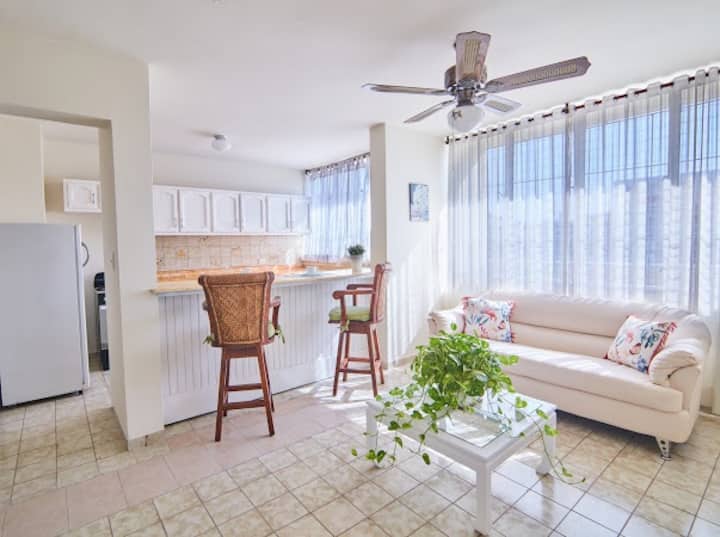 Cozy Studioapartment Furnished In Gazcue - Santo Domingo