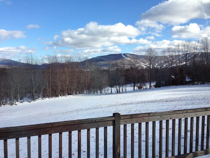 Windham Mountain Views!  Gorgeous Deck - Windham, NY