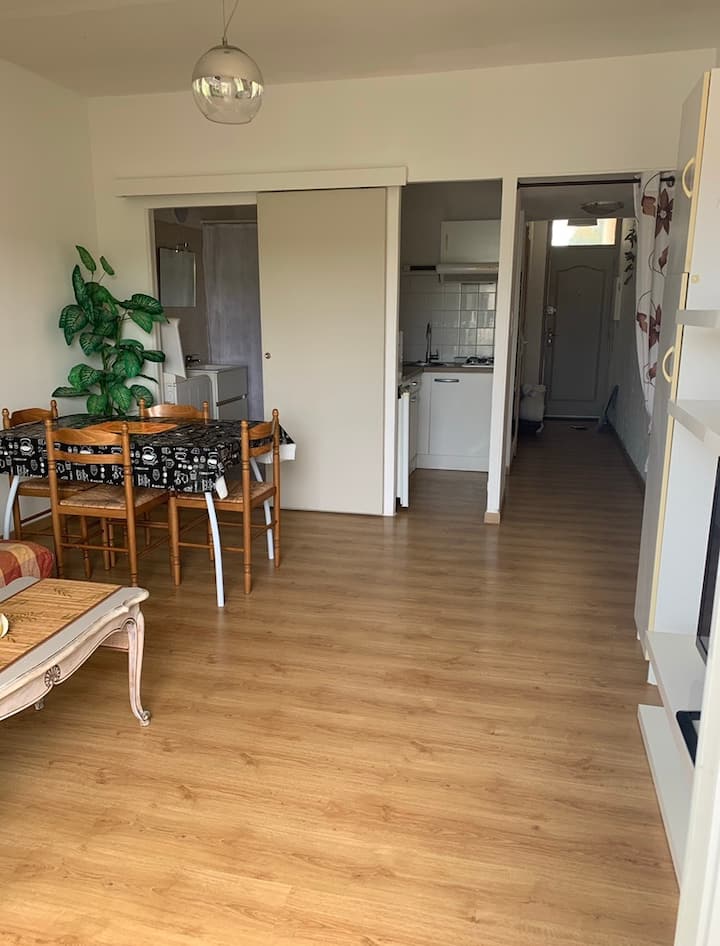 T2 Bord De Mer. Centre De Porticcio. Avec Parking. - Porticcio