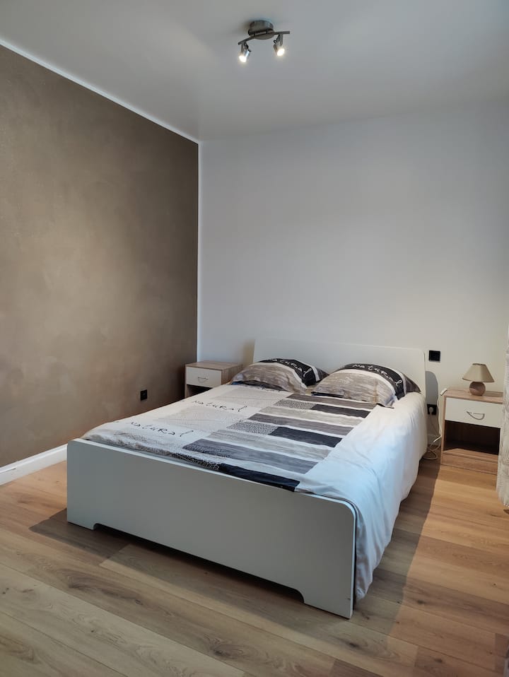 Le Bronze, Appartement De Standing En Hypercentre - Sarreguemines