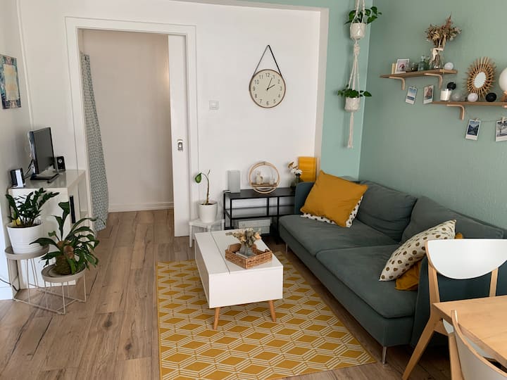 2 Pièces Neudorf Avec Balcon (15 Min Du Centre) - Estrasburgo