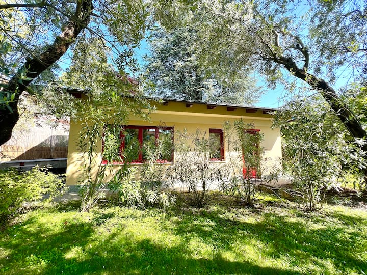 Bibì Cottage - Bed & Bamboo - Piscina