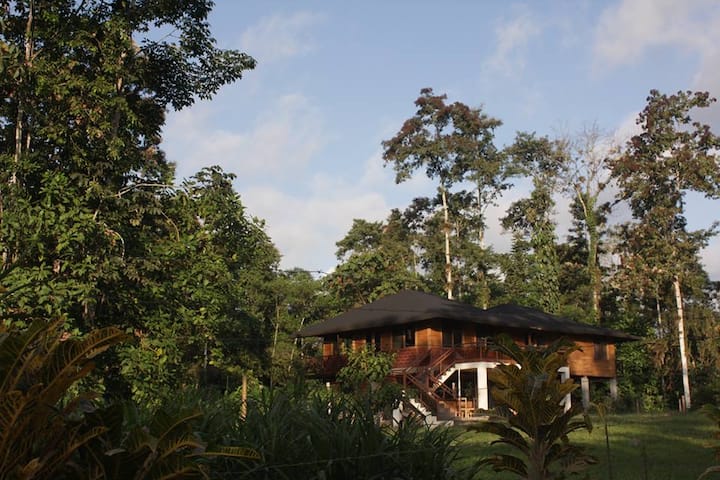 Suyana - Puerto Quito