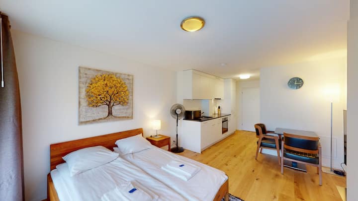 Amazing Studio/the City Centre (Sun8) - Zürich