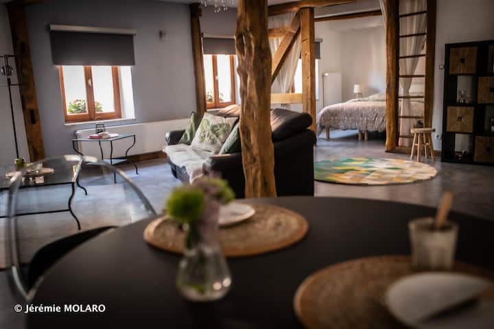 L'appart Du Château - La Petite-Pierre