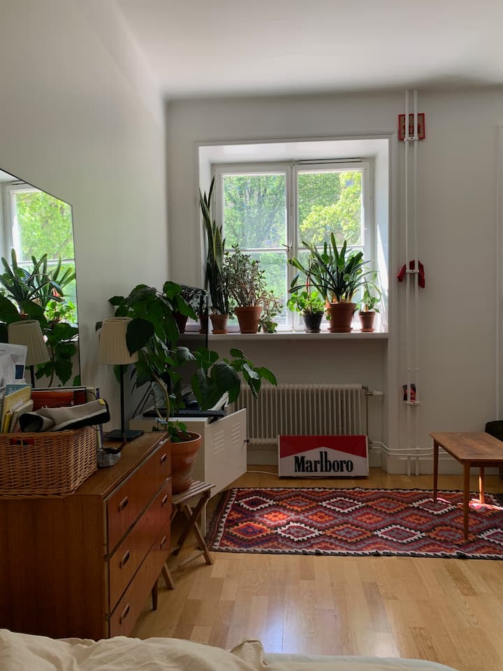 The Petite Oasis - Stockholm