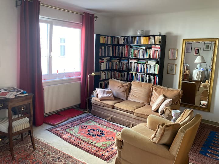 Wohnung Im Zentrum Von Wien - Viena