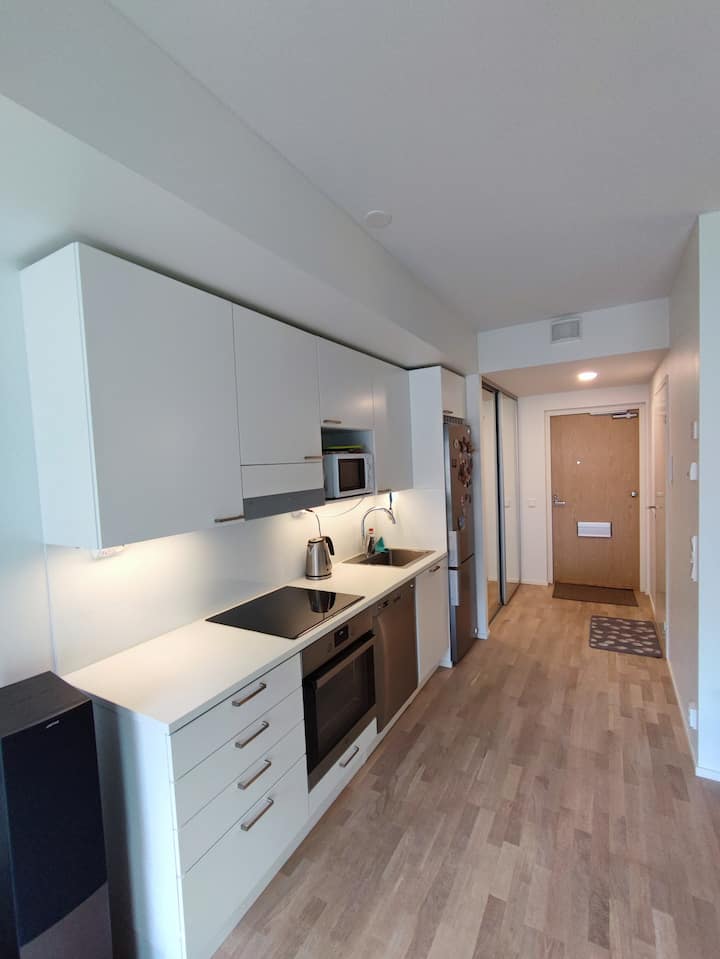 Entire Apartment Right Next To Turku Castle - Turku