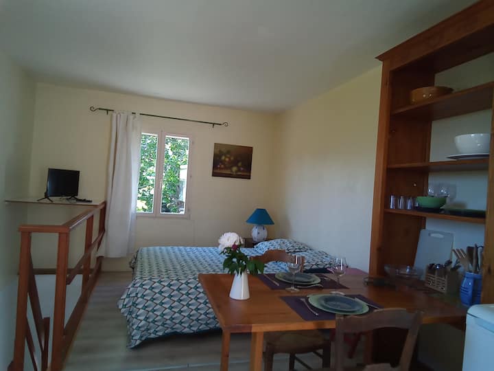 Studio Calme Au Millieu Des Vignes Avec Piscine. - Suze-la-Rousse