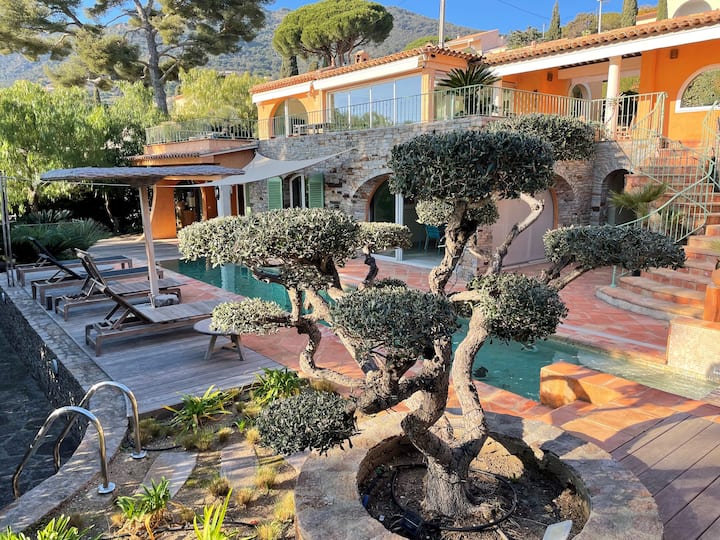 Magnifique Villa Avec Vue Mer - Le Lavandou