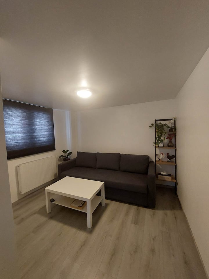 Studio In Centrale Brussel. - Dilbeek