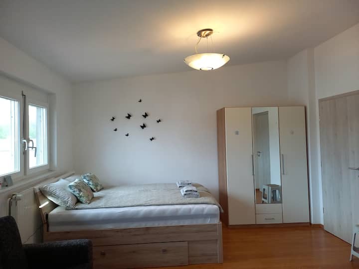 Quiet Clean Apartment - Ljubljana