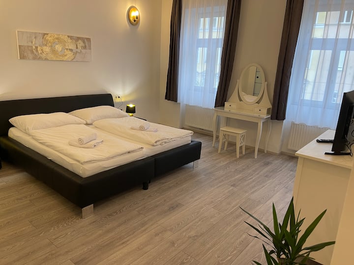 Schickes Apartment Im Stadtzentrum - Wien