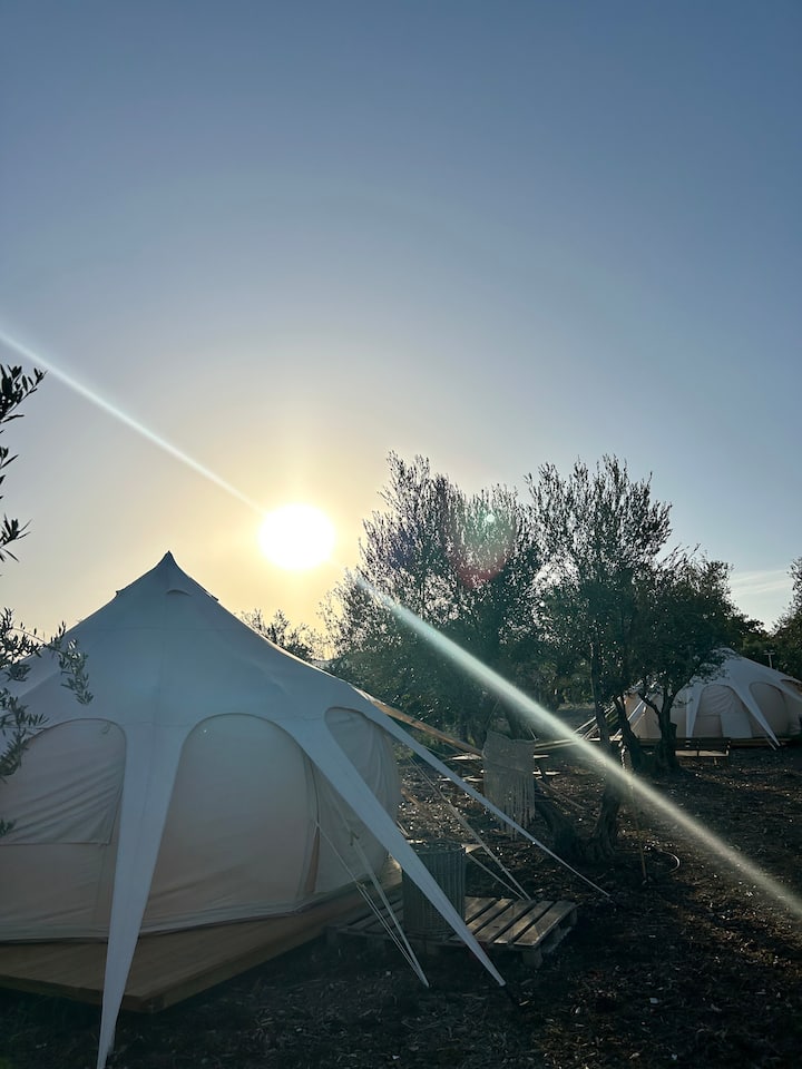 Israel Tent Vacation Rentals | Airbnb