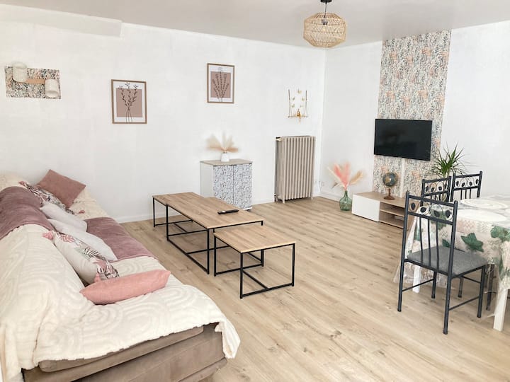Maison Avec Courette - Villeneuve-sur-Yonne