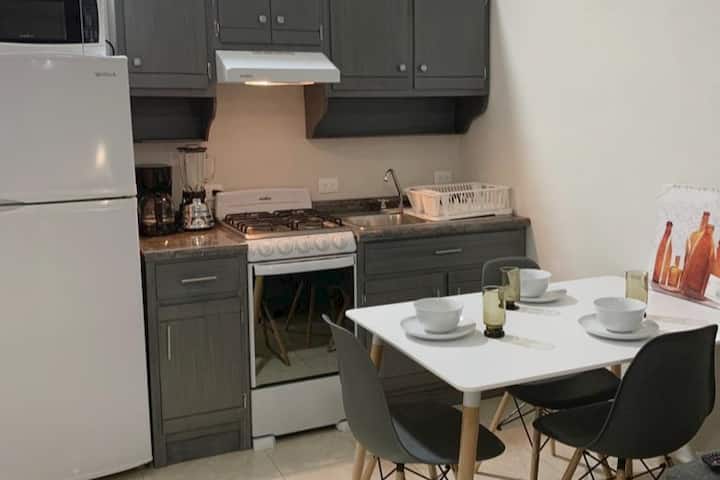 Nuevo Depto Totalmente Equipado Excelnte Ubicación - Monterrey