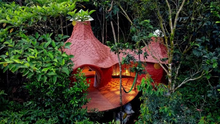 Taibará - Cabaña Nido Del Bosque - San Carlos