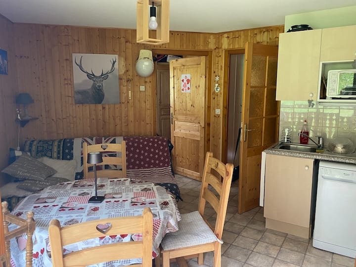 Super T2/30 M2 Au Pied Des Pistes - Châtel Linga - Châtel