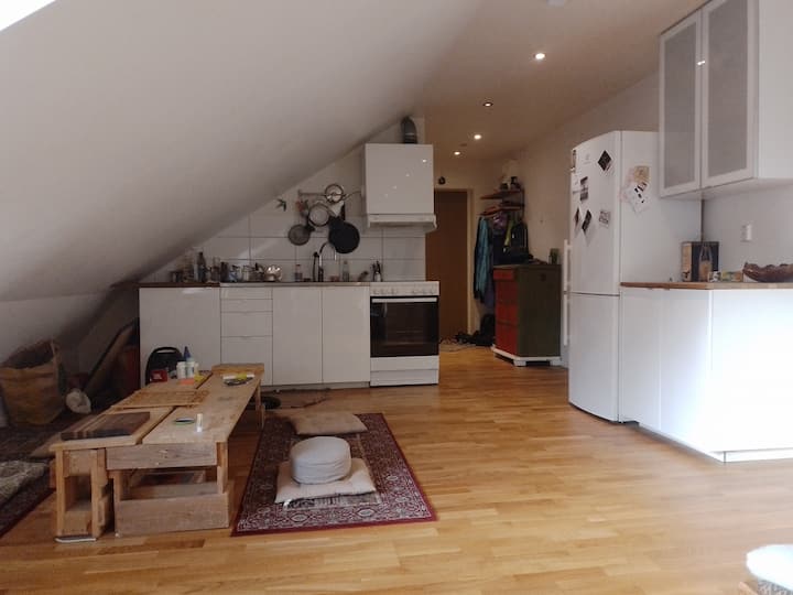 Cozy Studio Attic Apartment - Malmö