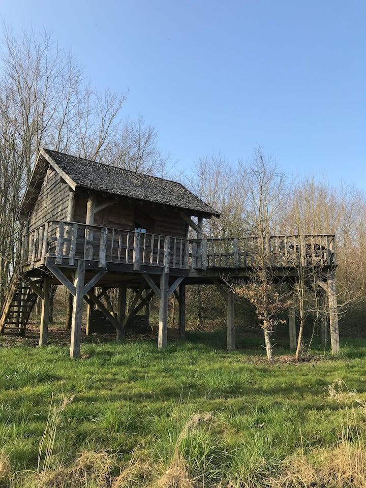 Charmante Cabane Perchée - Sées