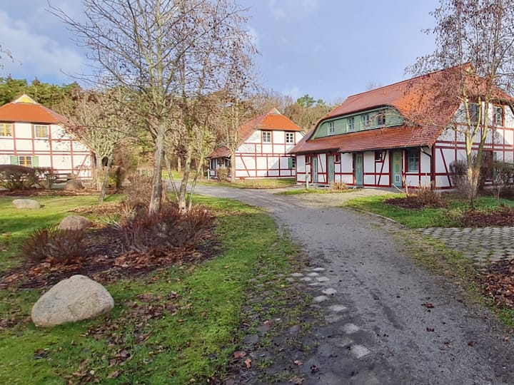 Moderne Ferienwohnung Ostsee - Dranske