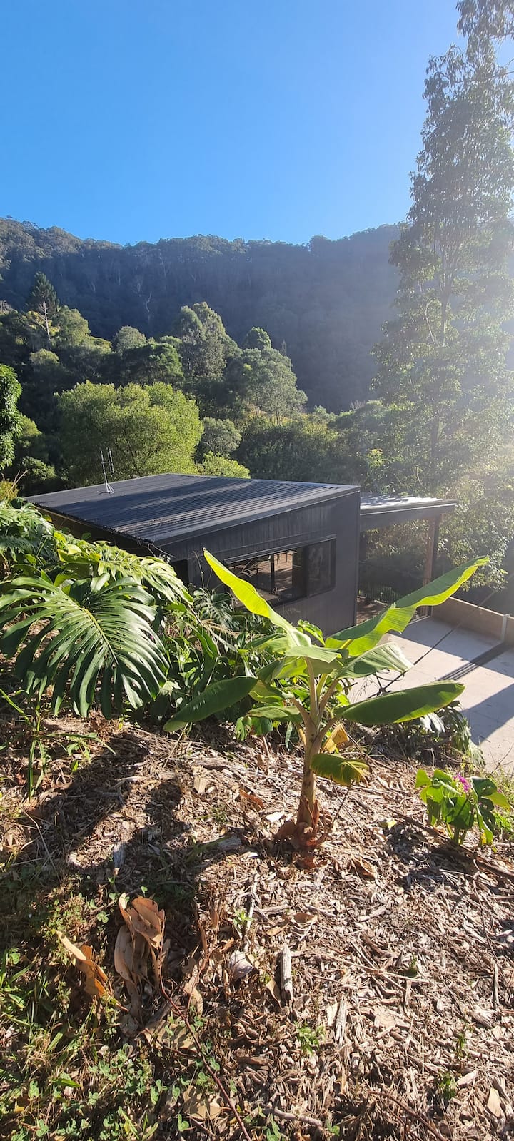 The Packing Shed - Coffs Harbour, Australia