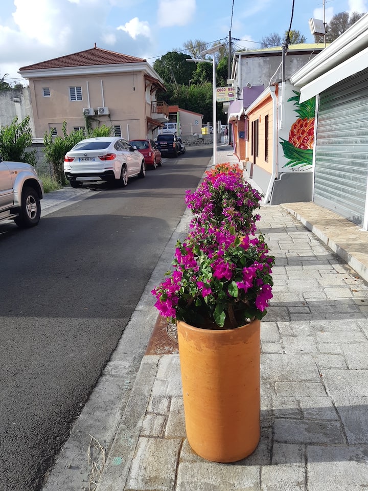 Cosy T3 Au Coeur De Sainte Anne - Martinique