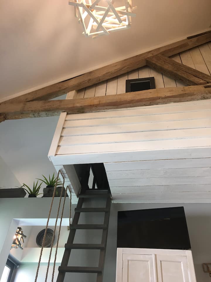 Mini Gîte Avec Cabane Intérieure - Sainte-Hermine