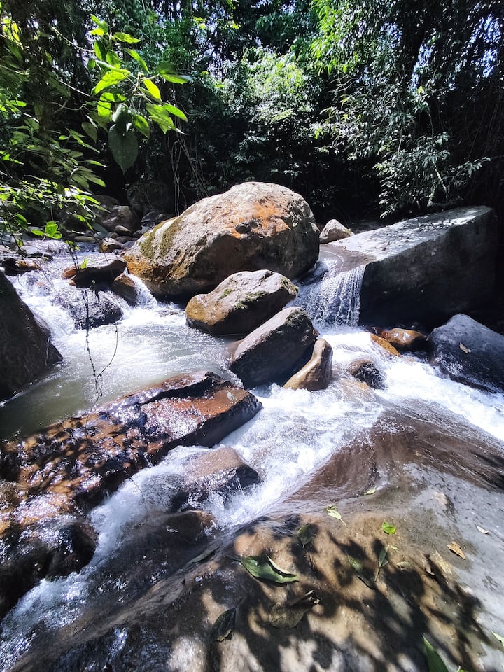 Reserva Natural Jardín Del Agua - La Vega