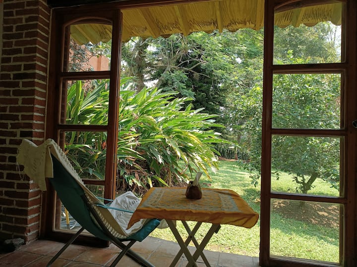 Cabaña Estudio De Artistas En El Bosque - Xico