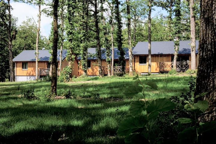 Chalet Cosy - All Fire & Chill In The Woods - Somme-Leuze