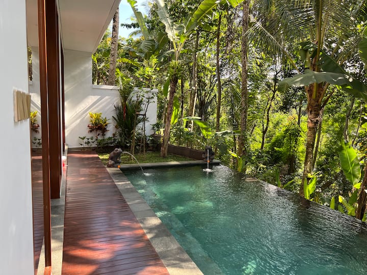 Brand New Private Pool Villa With Lush Jungle View - Ubud