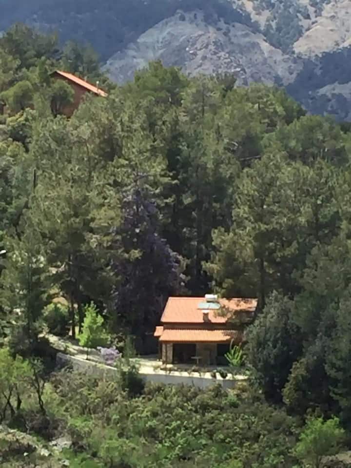 Spilia House  (Close To Platania) - Агрос