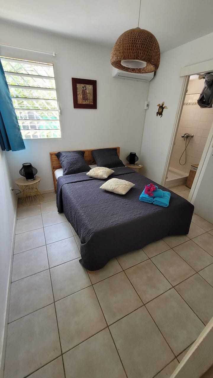 Trois Ilets:tisoleil Charmant T2 - Martinique
