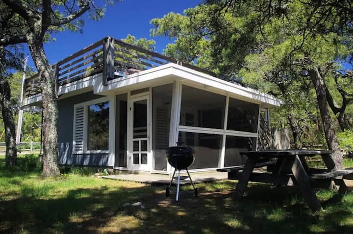 Cottage W/ Roof Deck Near Beach - Wellfleet, MA