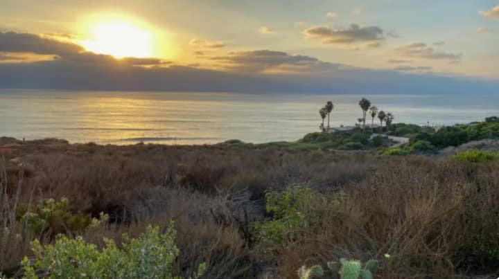 Beautiful Cottage In Central Sd! - San Diego, CA