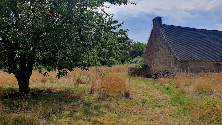 Spacieuse Et Charmante Longère 10 Min. Des Plages - Plouhinec