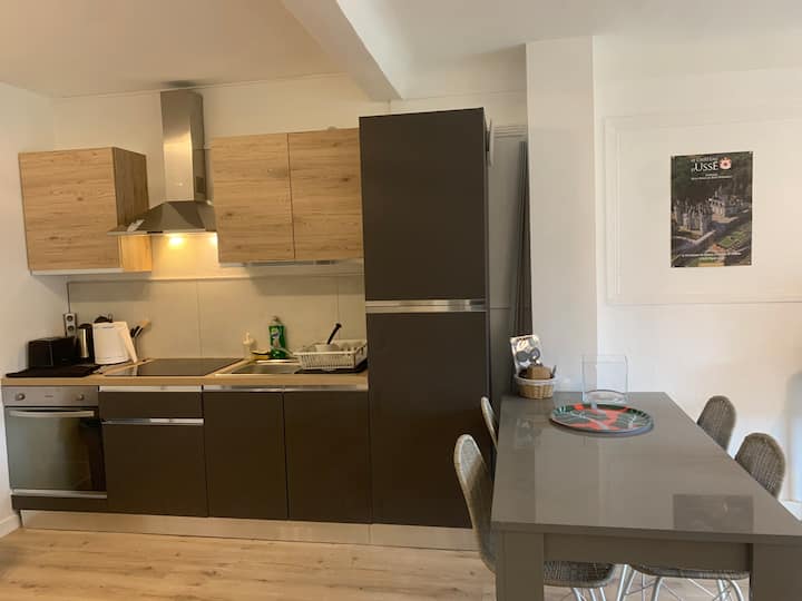 Appart Confort Et Calme Parking Tours Bord Cher - Tours